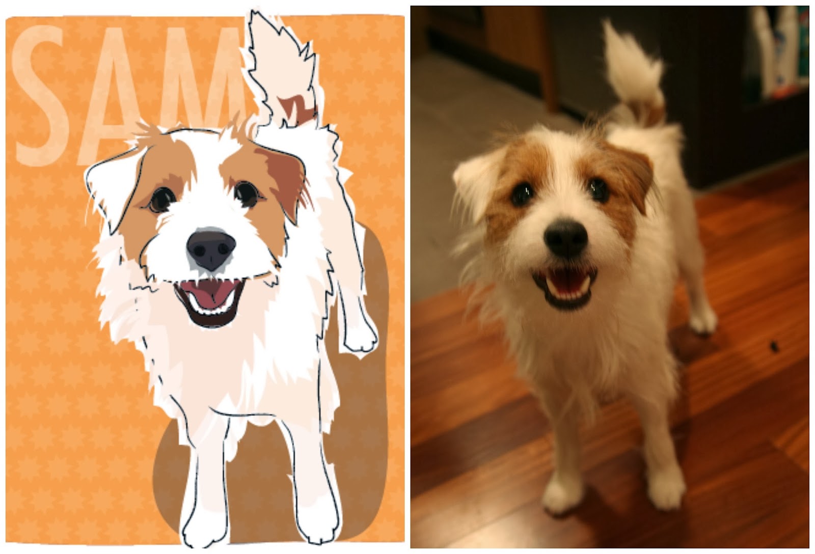 Cartoon us!! - Sam, Pecan, Pippin, Shelly and Sherman - Dog blog Singapore