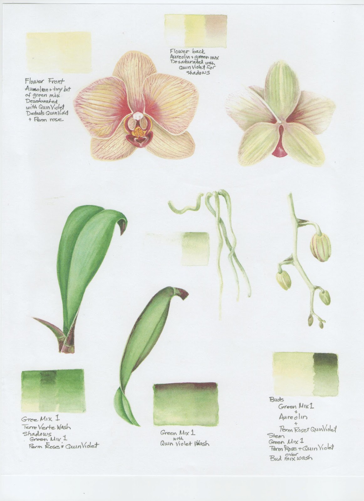 Diane Harm's Botanical Garden Art