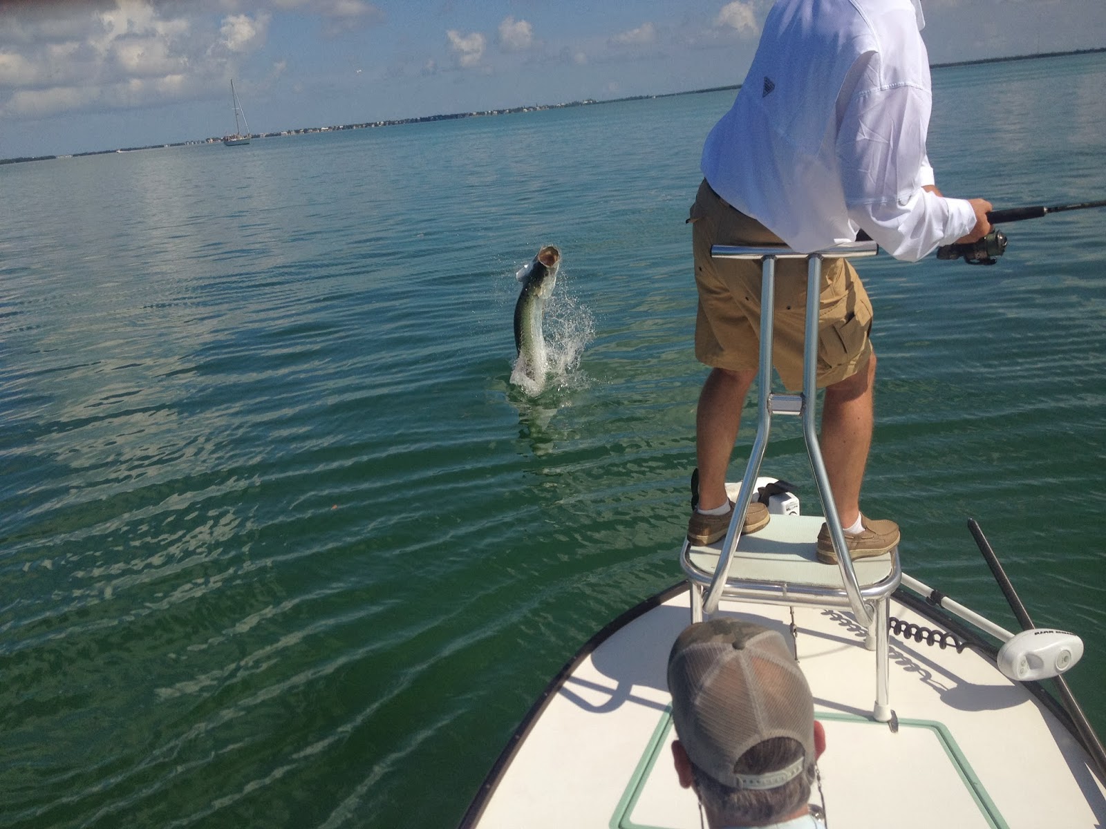 Fly Fishing For Sharks Florida Keys at Roderick Tipton blog