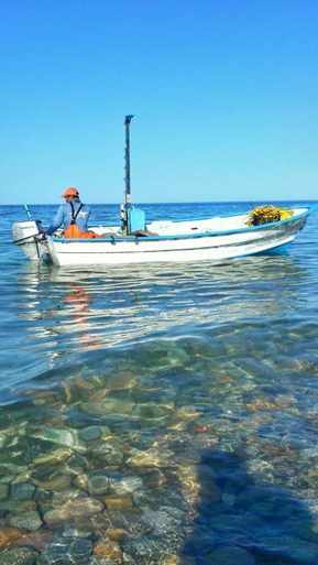 CONOCIENDO EL CARDONAL en BAJA CALIFORNIA SUR