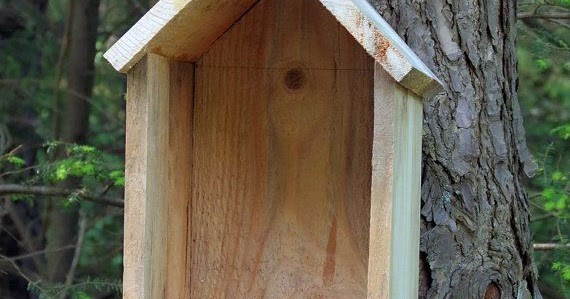 RUSTIC BIRD HOUSE For Robins, Pheoebes and Barn SwallowsPinned from ...