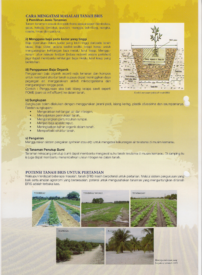 asr dagang: PEMULIHAN TANAH BRIS UNTUK PERTANIAN