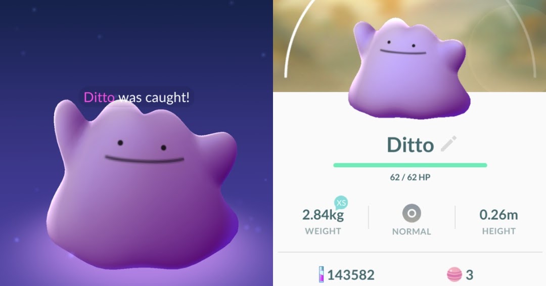 Ditto是個英文單字，但它的中文意思可不是百變怪喔！同一天抓到兩隻Ditto實在是好幸運喔......