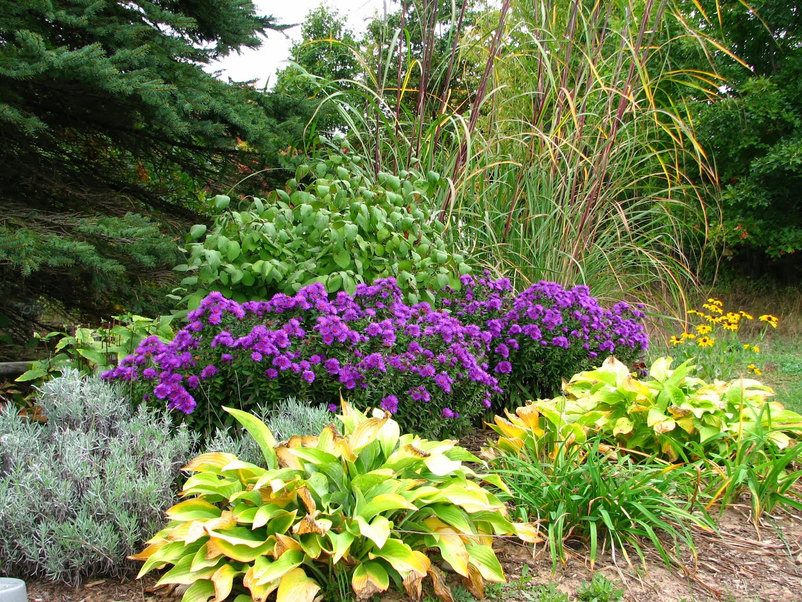 Mermaid At Frog Hollow: Tip toeing with Tootsie Oct 4th