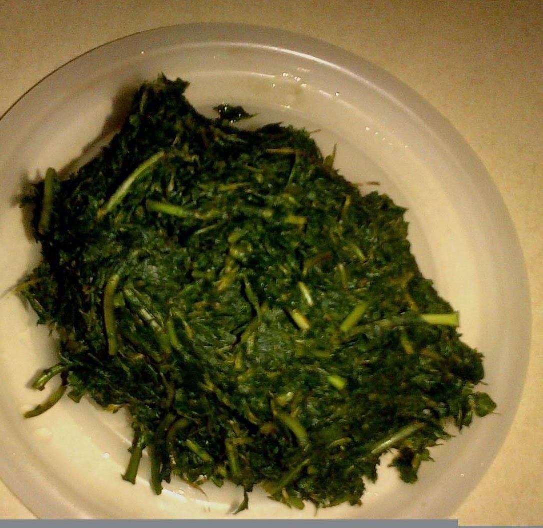 20 Vernonia Amygdalina Bitter Leaf Medicinal Plants - Medicinal Plants ...