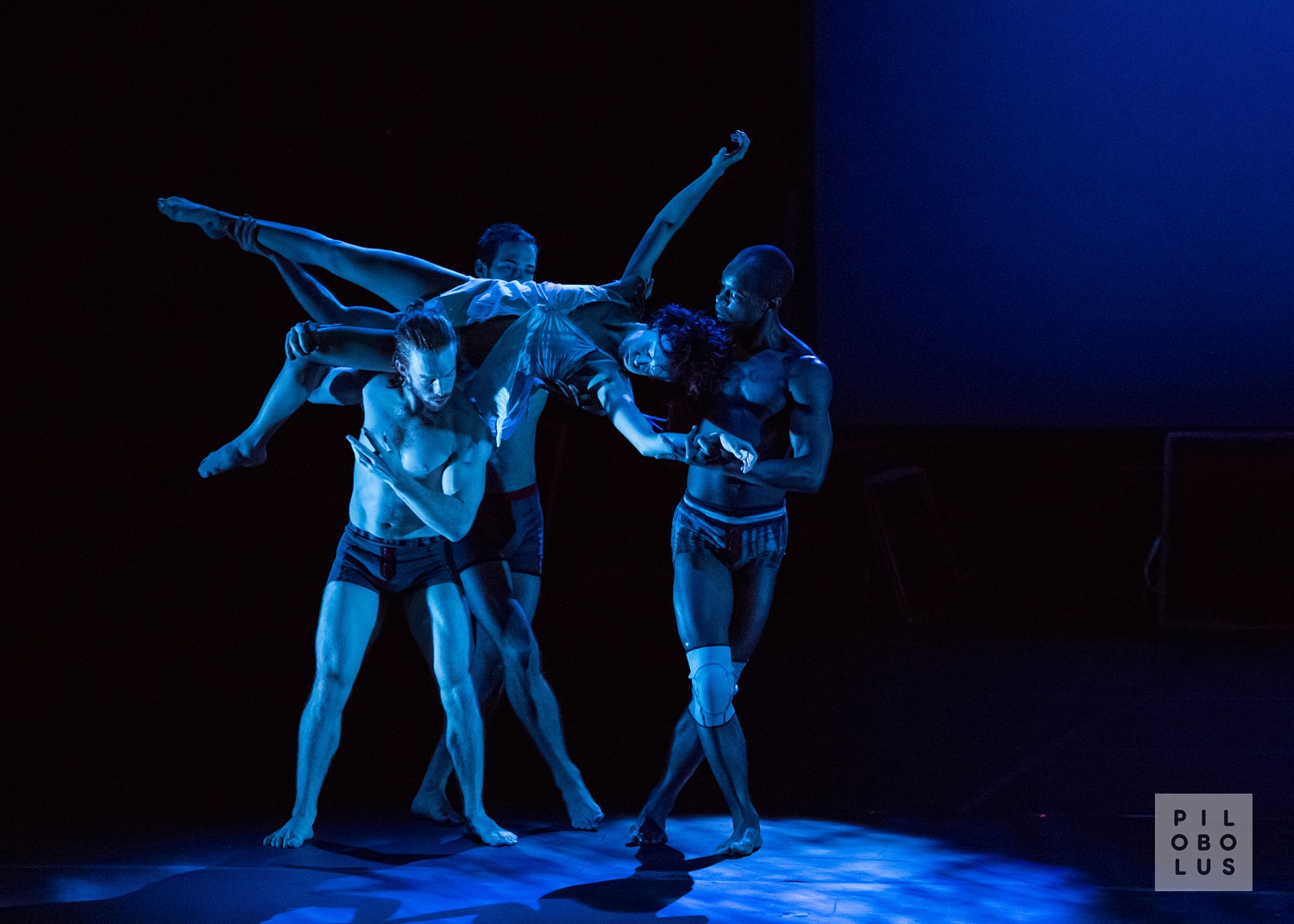 PILOBOLUS "SHADOWLAND" 13 -17 ΔΕΚΕΜΒΡΙΟΥ στο ΜΕΓΑΡΟ ΜΟΥΣΙΚΗΣ ΑΘΗΝΩΝ