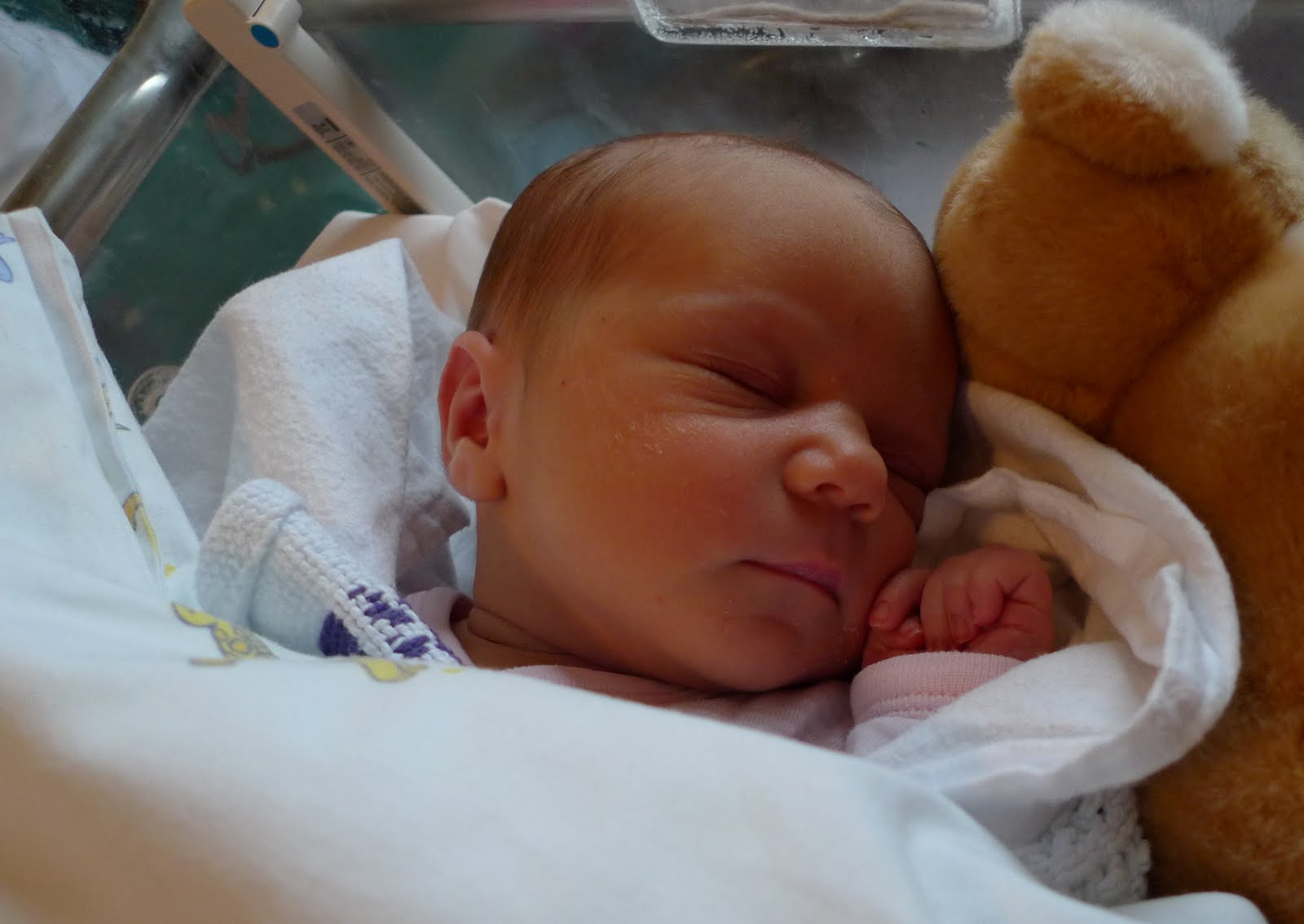 Arctic Mum Blog: A Brand New Baby in the House