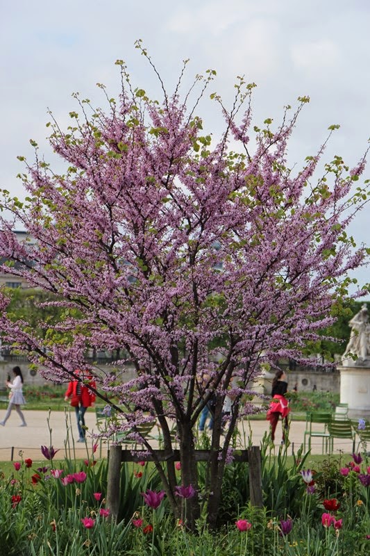 Nasi Lemak Lover: The Louvre, The Tuileries Garden, Paris 2014 巴黎自由行