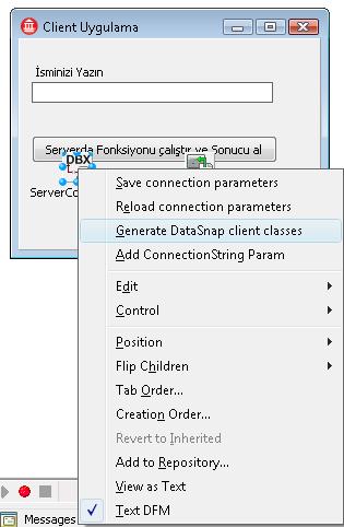 Ayşen'in Yazıları: Delphi DataSnap ve Uygulamaları