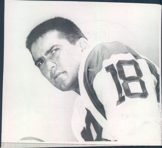 Child of the Sixties Forever: Roman Gabriel