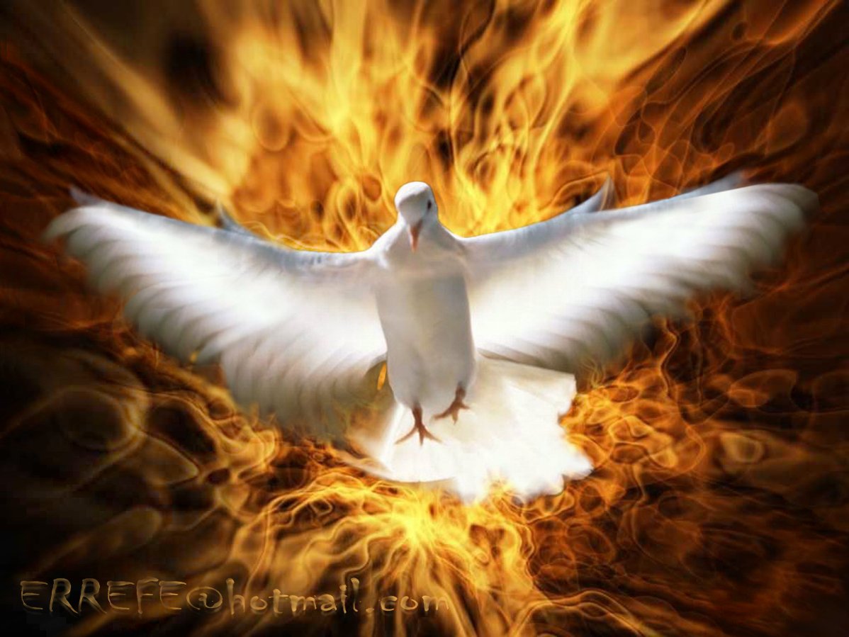 Despertando Conciencias: Qué es el Espíritu?