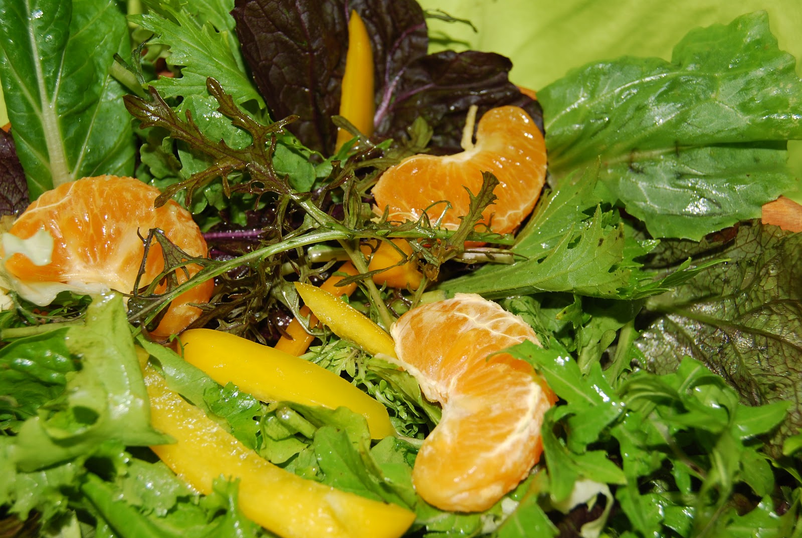 Helen A. Lockey: My Florida Sourced Salad with Citrus Vinaigrette Dressing