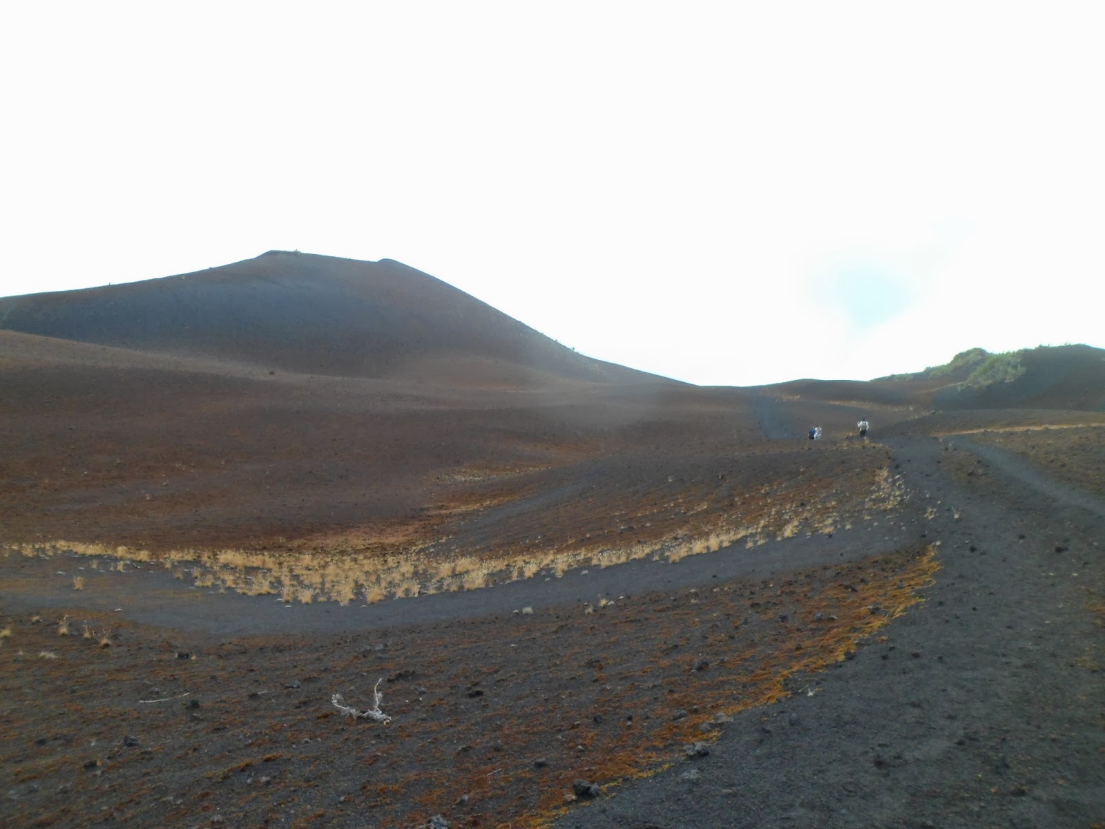 Caminos y miradas: Ascenso al Monte Camerún... y descenso