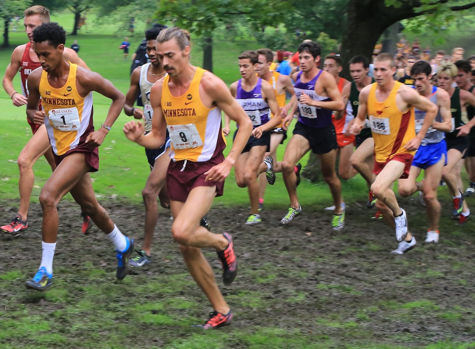 Down the Backstretch: Gene Niemi's Griak Photo Gallery