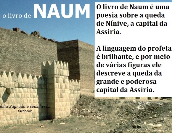 A Bíblia - Sinopse de Cada Livro: Naum