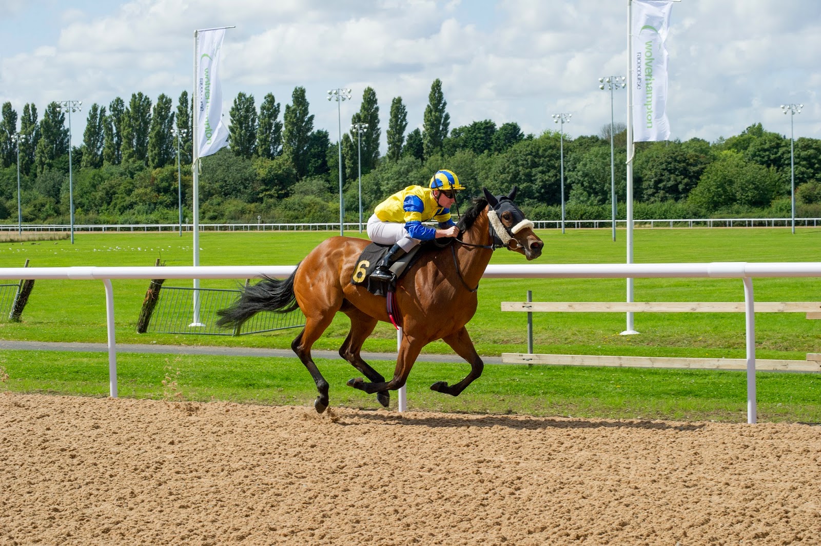 Wolverhampton Racecourse: Innovative Racing Gets Underway At ...