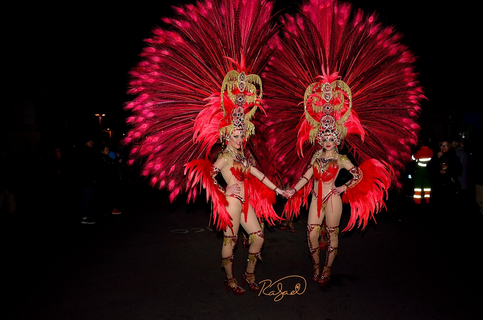 ALICANTE SIEMPRE: PROGRAMA CARNAVAL DE TORREVIEJA 2019.
