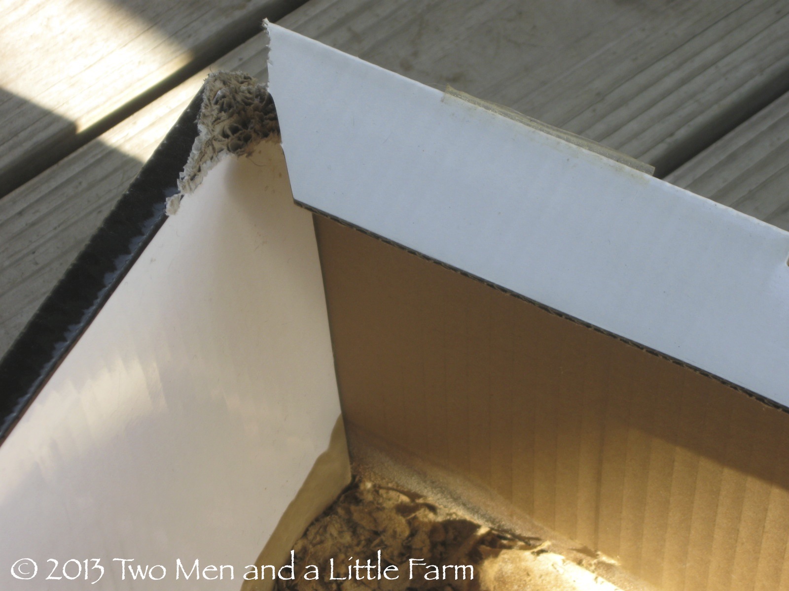 Two Men and a Little Farm: AND THE SAGA CONTINUES