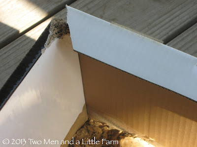 Two Men and a Little Farm: AND THE SAGA CONTINUES