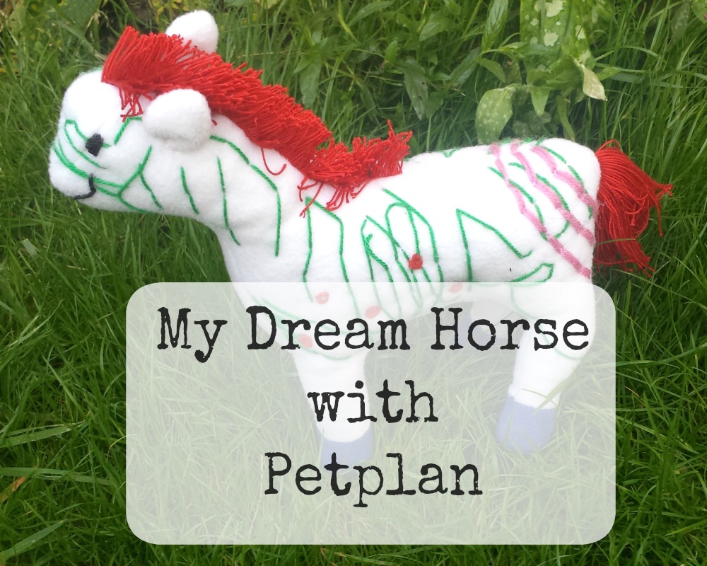 My Dream Horse with Petplan - Whimsical Mumblings