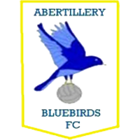 Abertillery Bluebirds F.C. - Alchetron, the free social encyclopedia