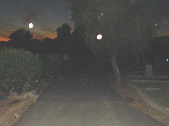 The Truth About Rods and Orbs