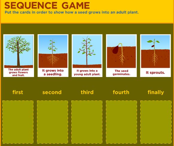 Bookish Ways in Math and Science: Annotated Bib - Plants