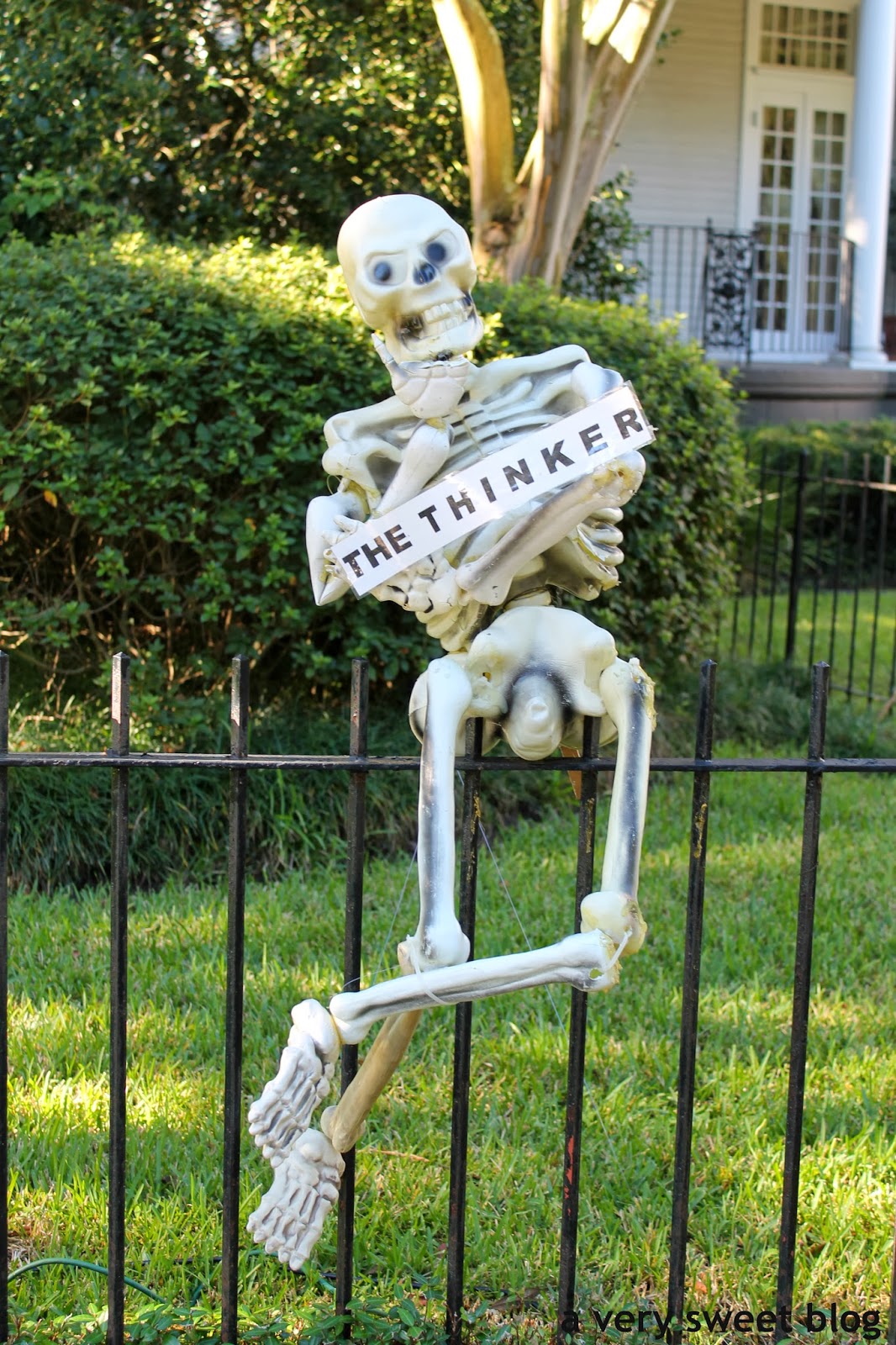 Funny Bones | A Very Sweet Blog