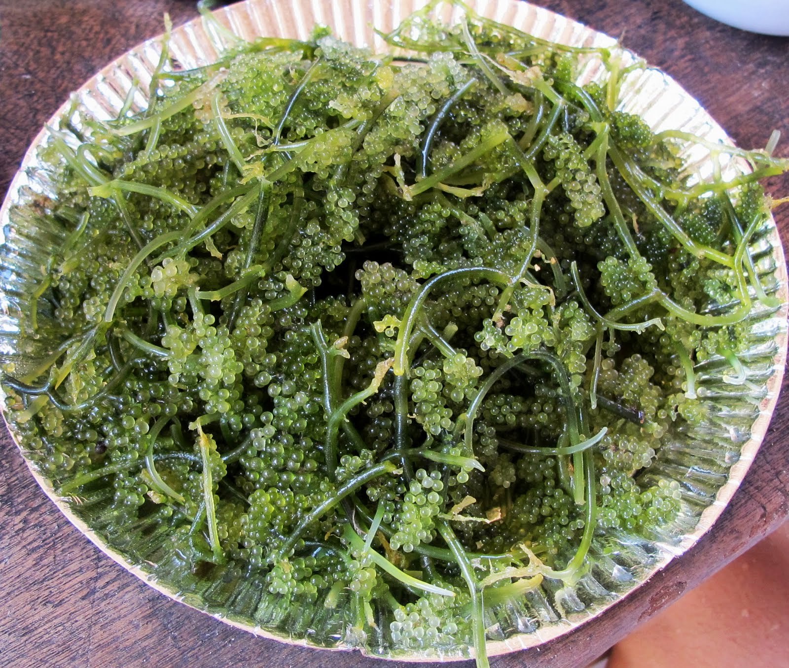 The Hungry-Trotting Couple.....goes ANYWHERE!: Philippines-Puerto ...