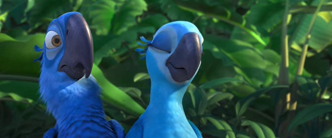 Xvid Torrents: Rio.2011.DVDRip.Xvid Torrent