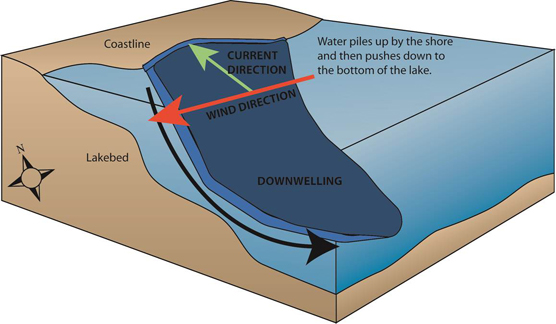 Perbedaan Upwelling dan Downwelling - Guru Geografi