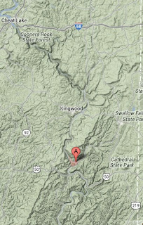 A Hobby Tree: Nancy Jane Minear 1823-after 1910 (111001)