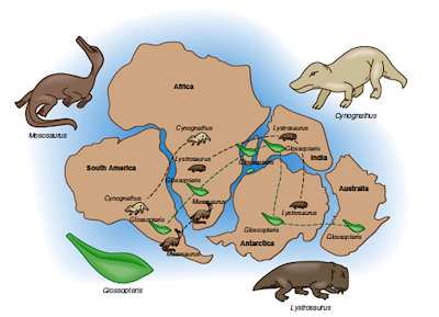 GEOLOGY IS THE STUDY OF THE EARTH AS A WHOLE: TEORI APUNGAN BENUA