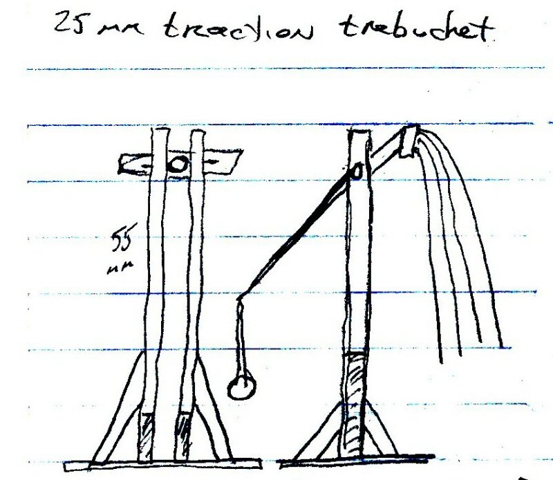 Wood Charles News Service: 5/29/11 - 6/5/11