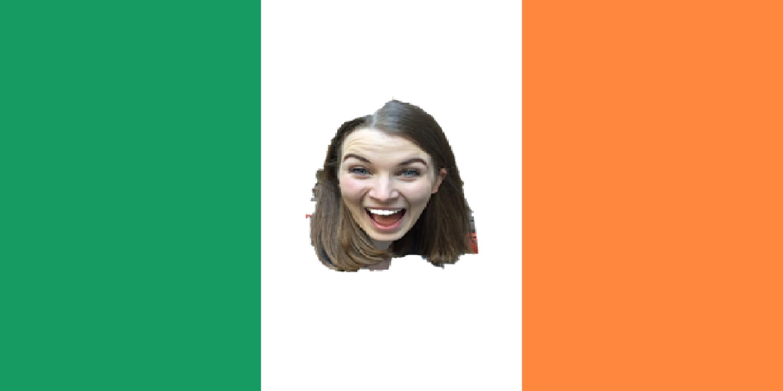 Curation and Conservation of the Mapes Collection at the AMNH