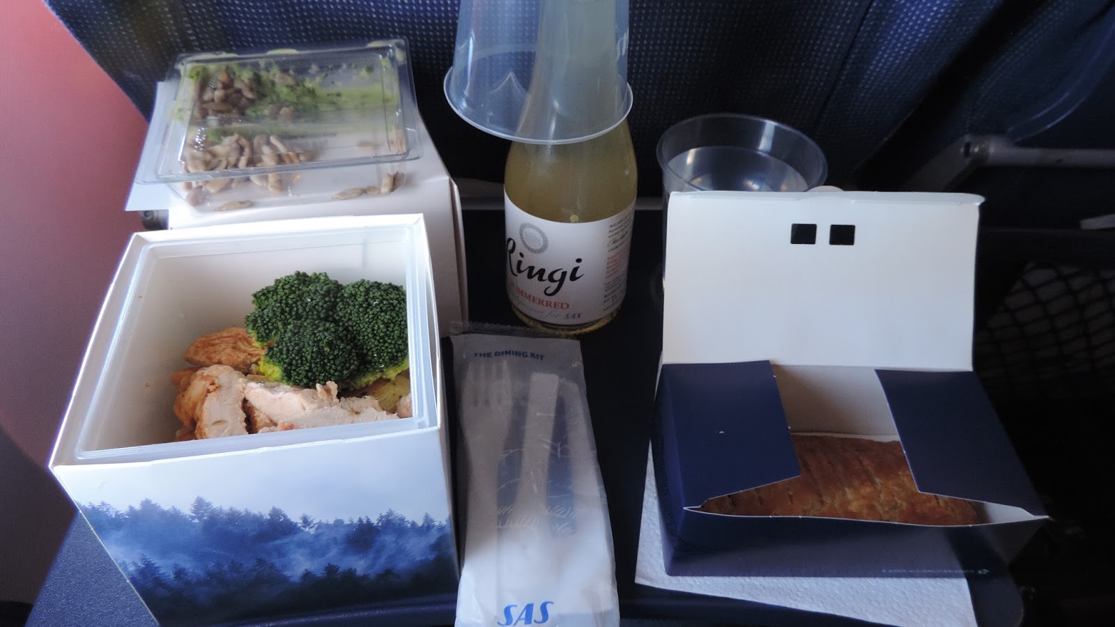 Review: SAS Plus, Malaga-Stockholm