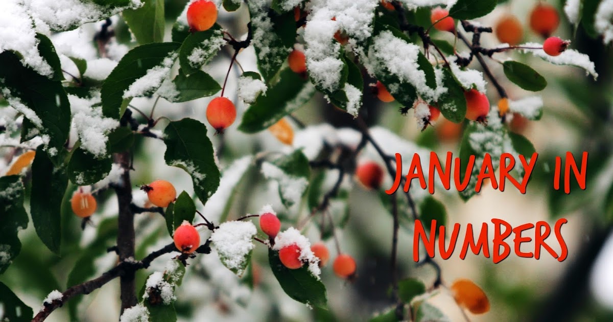 My New Happy: January In Numbers