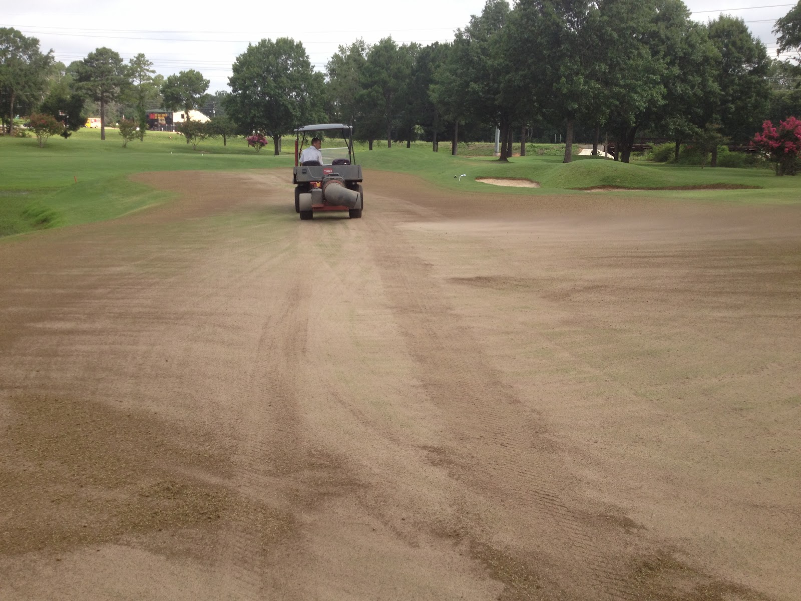 Hollytree Country Club Golf Course Maintenance: Greens Aerification