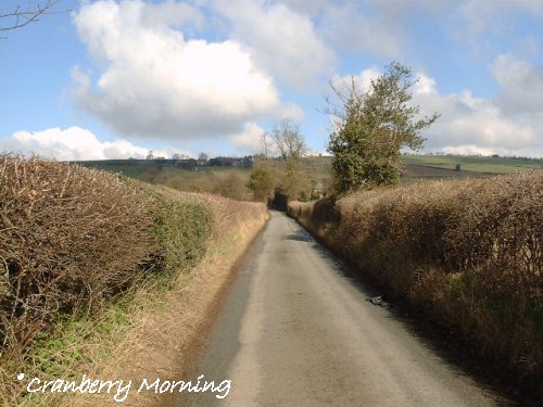 Cranberry Morning: Cardington, Shropshire