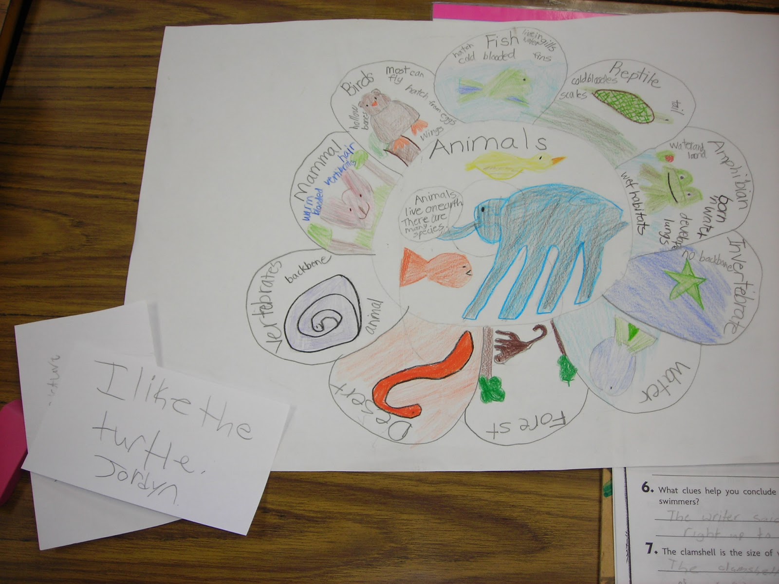 Fab and Fun in 3rd!: Animal Poster Projects!