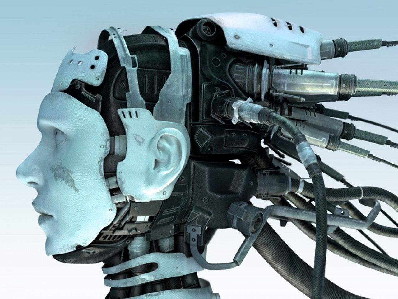 El Matiner Carli: La tecnocracia y el hombre masa, camino al ...