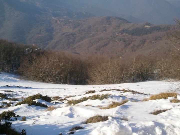 Lo que cuentan mis botas...