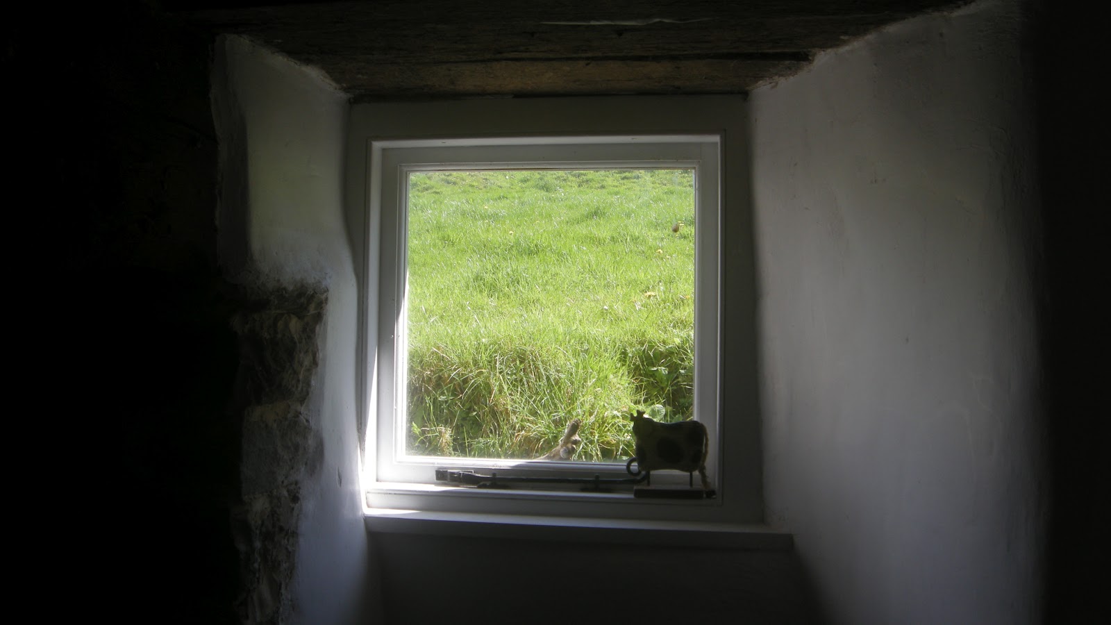 Squirrel Brand Joinery.: Farmhouse Windows.