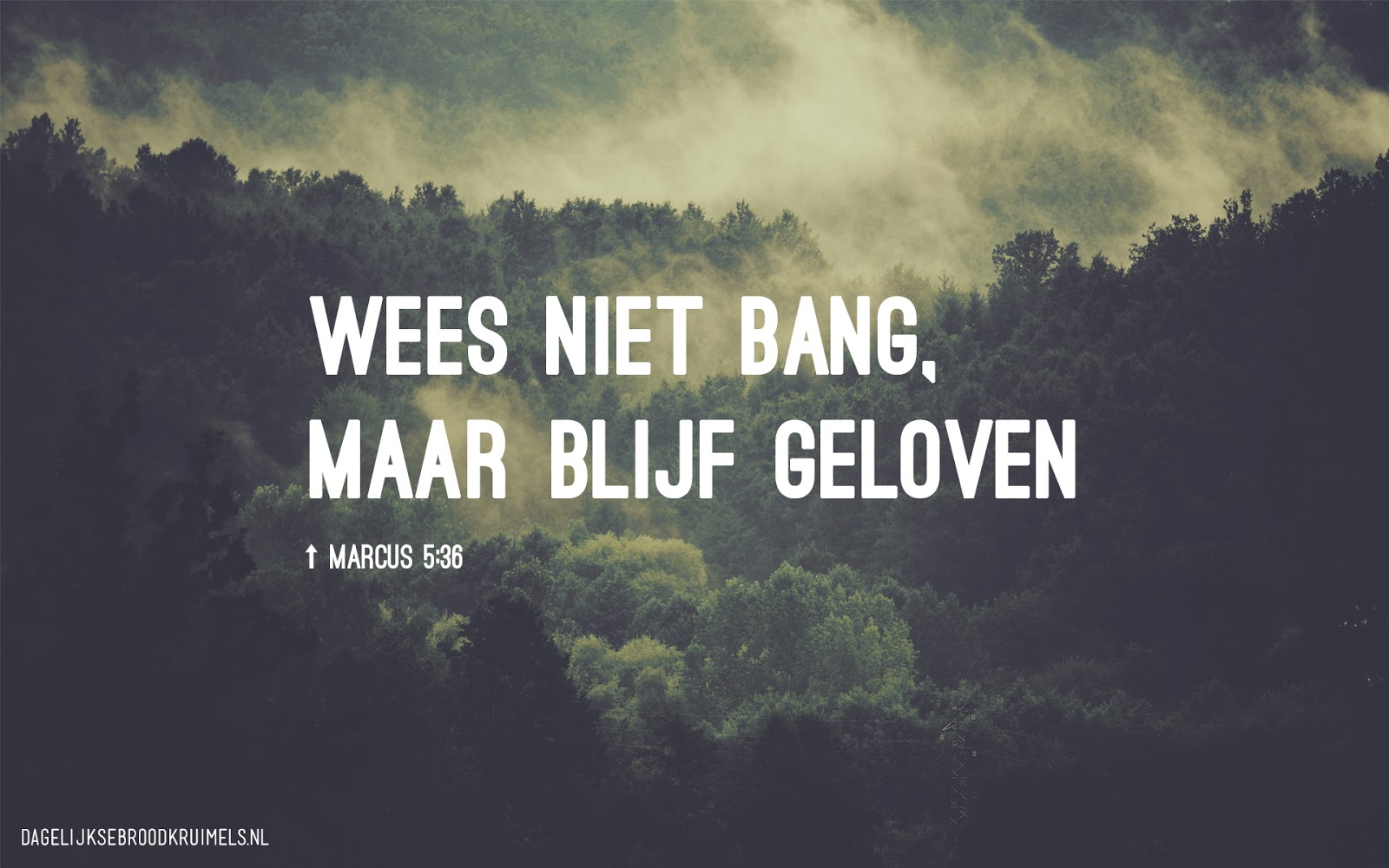 Leef je geloof: Wees niet bang, zie op God