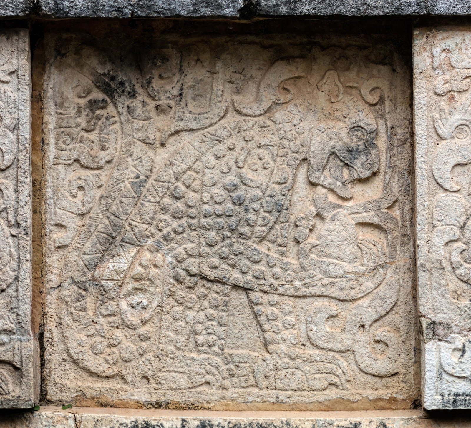 The Cuddlywumps Cat Chronicles: The Ancient Maya Kept Big Cats in ...