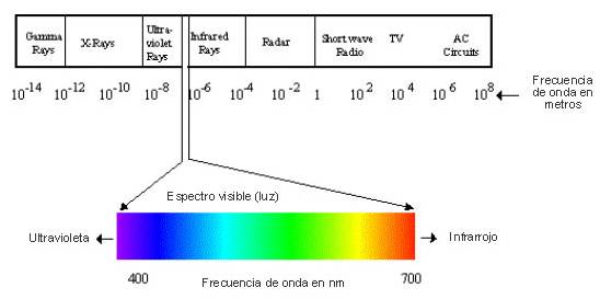 SENTIDOS DEL GUSTO Y VISION: TEMA 7: VISION