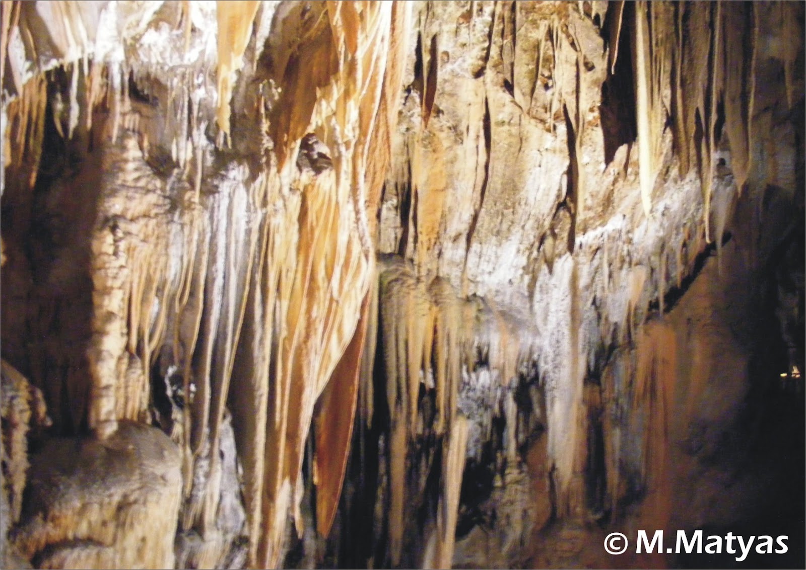 Foto travel: Impresii de călătorie (12) - Peștera Postojna