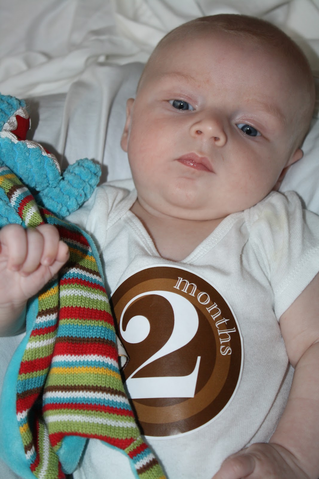 The Anderson Family: 2 Month Old Baby Luke