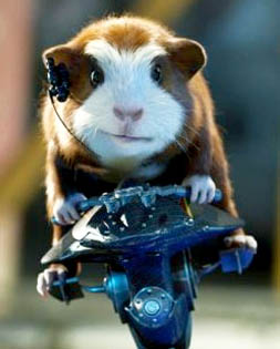 Agent Darwin, G-Force Cartoon Wallpaper