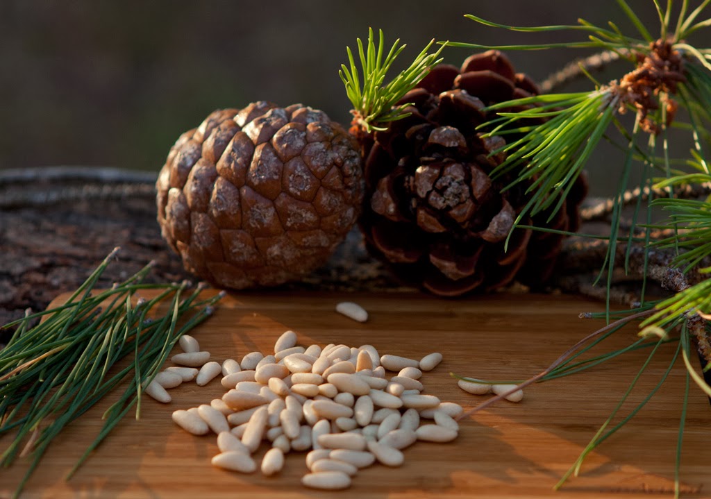 A finals de tardor... pinyons i cireretes de pastor!!!